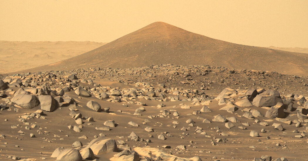 Book Review: ‘More Everything Forever,’ by Adam Becker - The Impactful Words Magazine